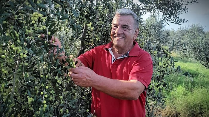 Olive Oil Times